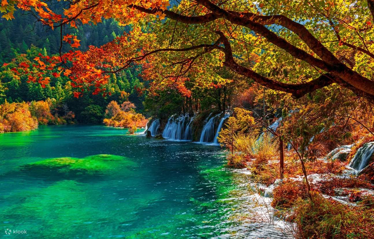 5-Day High-End Train Tour in Jiuzhaigou, Chengdu, Sichuan (Chengdu Free ...